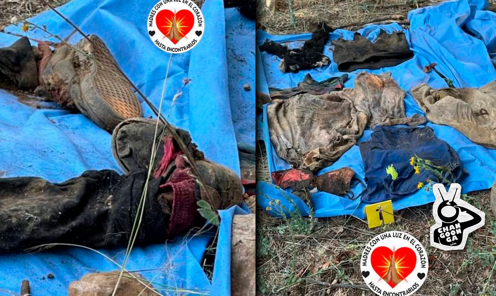 Tras 48 Horas De Búsqueda Madres Buscadoras Hallan Osamenta En Fosa ...