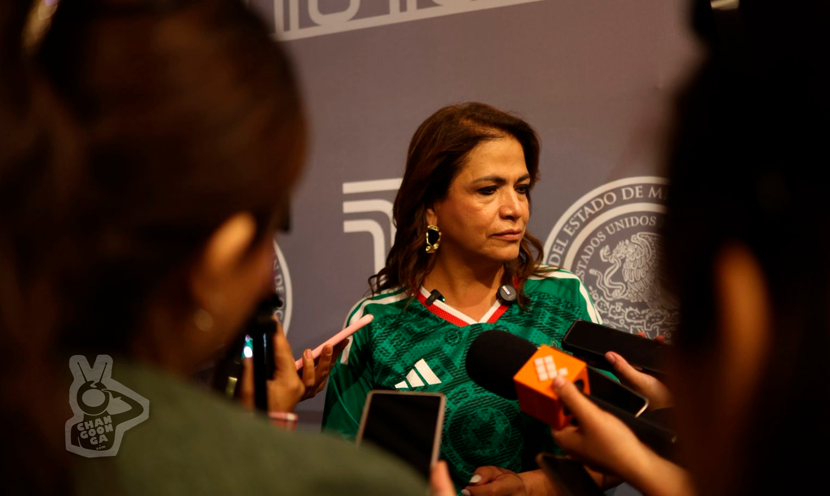 #Michoacán Tarímbaro Debe Ser Incorporado A La Alerta De Género ...