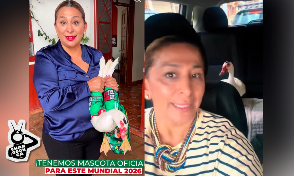 Patoaventuras Michoacán: Alcaldesa De Quiroga Rescata Pato Y Se Lo ...